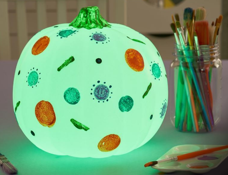 Sunday Makebreak: Pumpkin Fest in El Paso