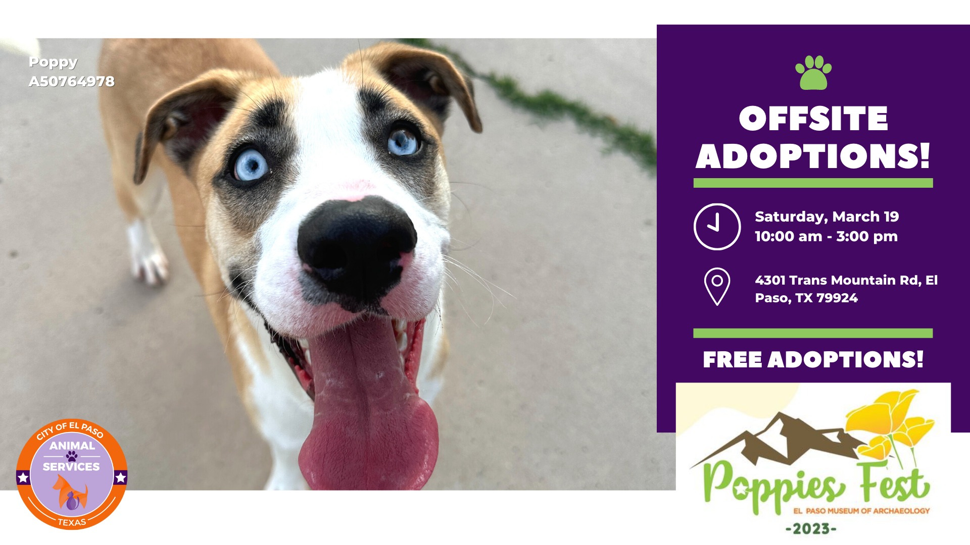 Mobile Adoptions - Poppies Fest 2023 - EPStuff