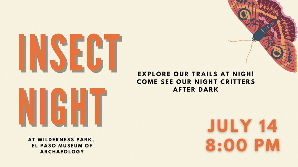 Insect Night - EPStuff