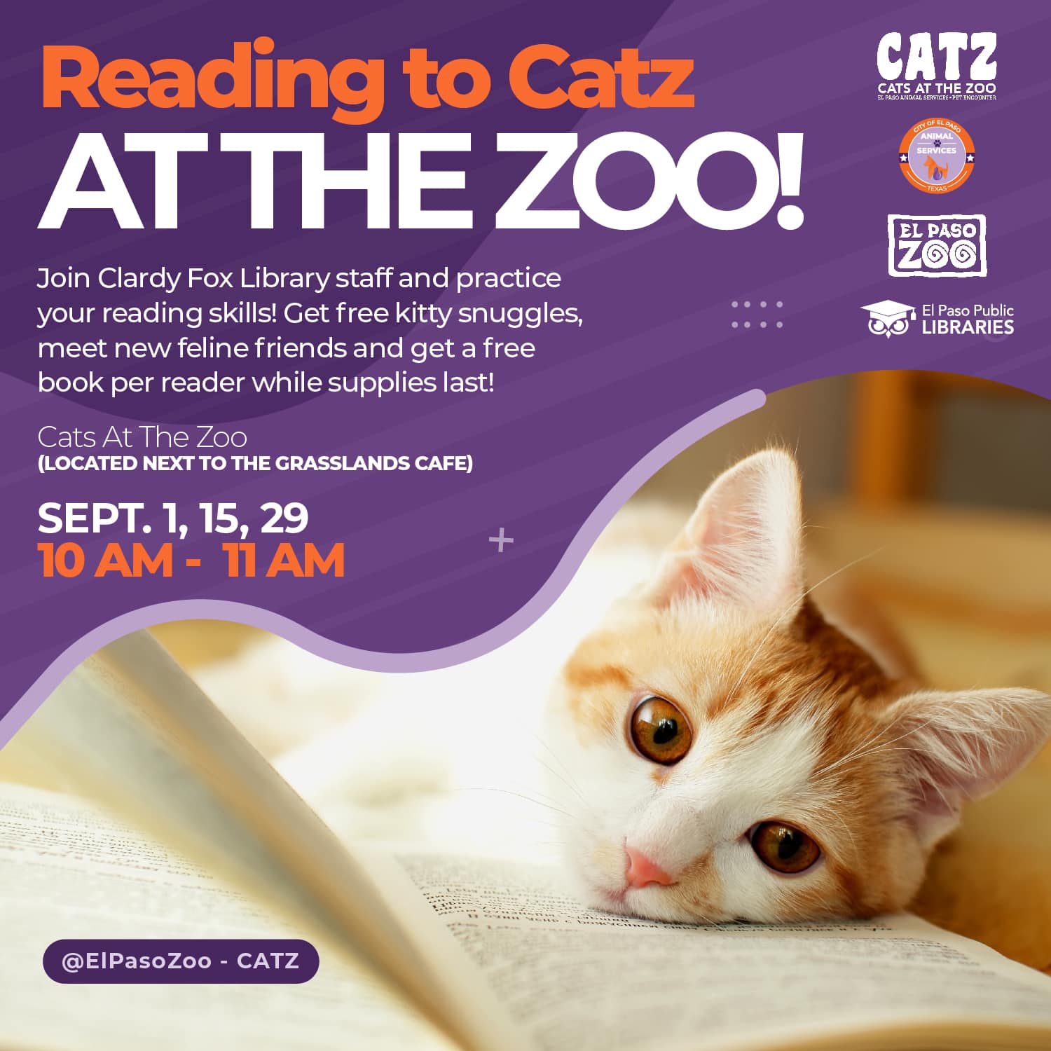 Reading to Catz at the Zoo - EPStuff