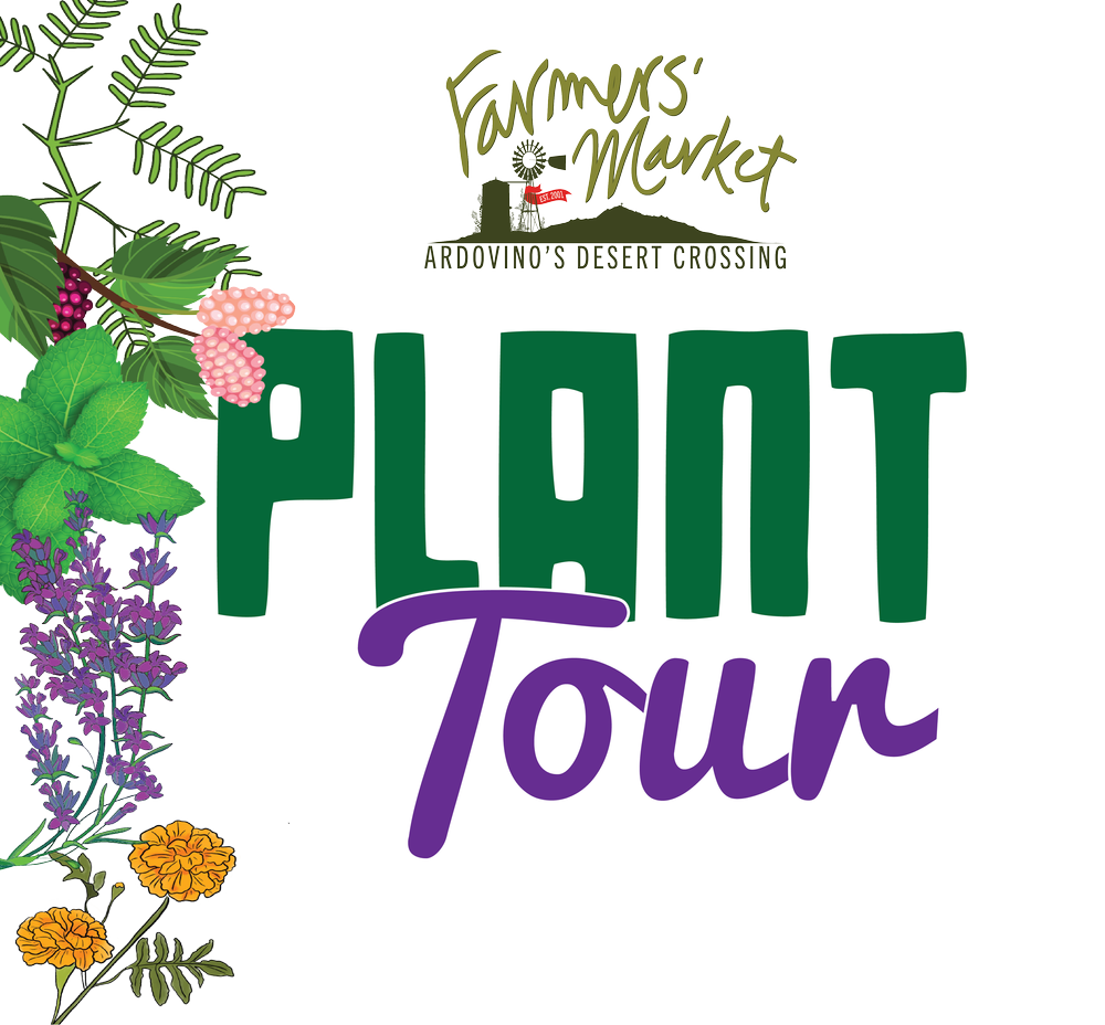 Farmers' Market at ADC: Plant Tour Day - EPStuff