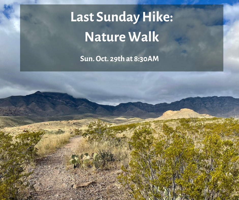 Last Sunday Hike - Nature Walk at Franklin Mountains State Park - EPStuff