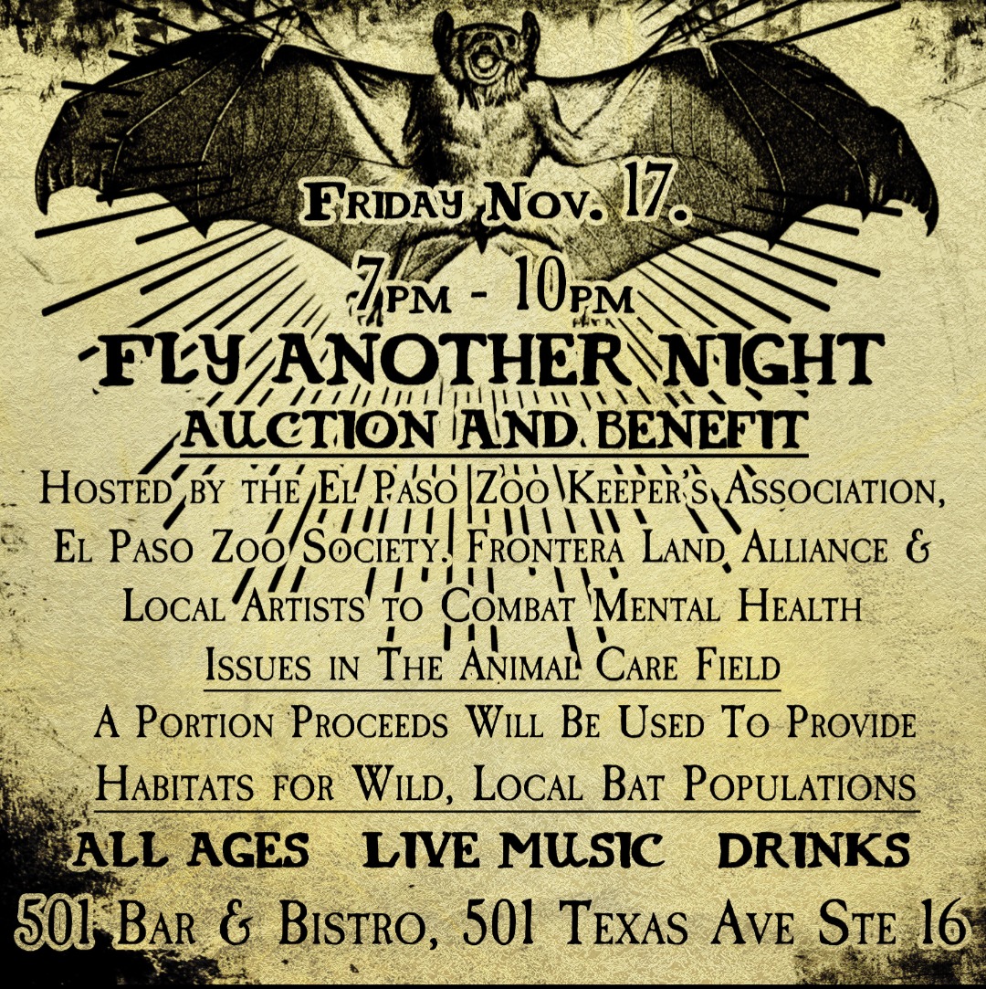Fly Another Night Auction and Benefit in El Paso, TX - EPStuff