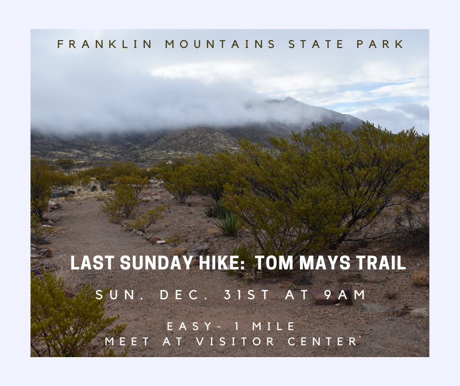 Last Sunday Hike: Tom Mays Trail at Franklin Mountains State Park in El ...