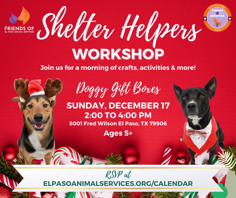 Shelter Helpers Workshop - EPStuff