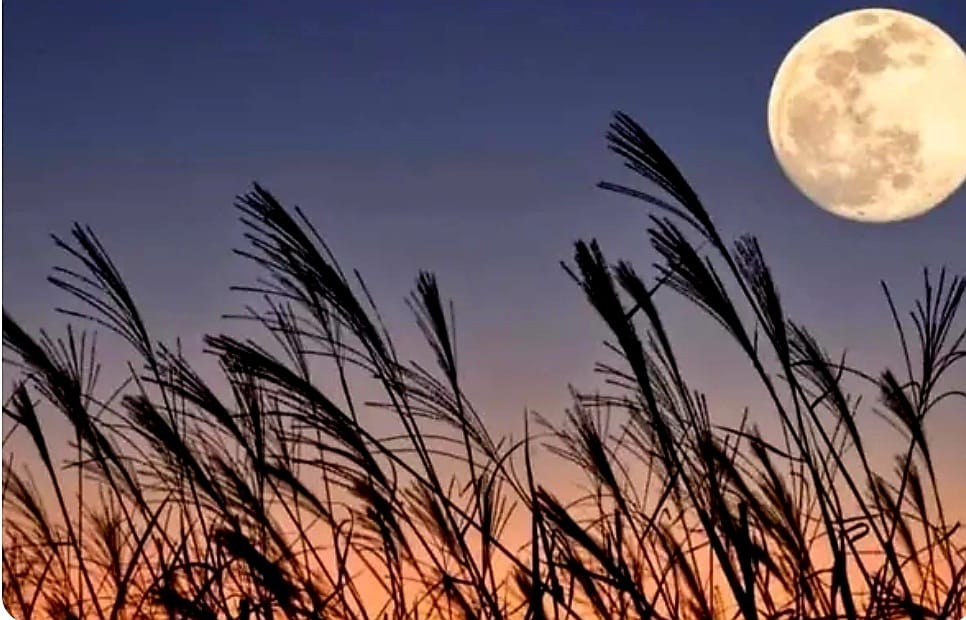 Full Moon Hike - Wolf Moon - EPStuff