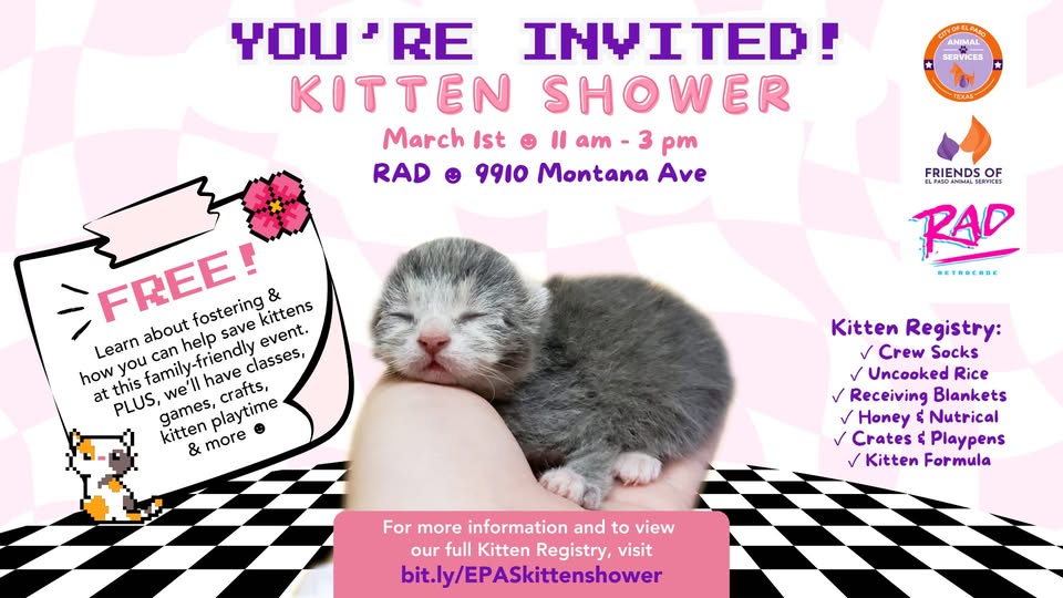 Kitten Shower - EPStuff